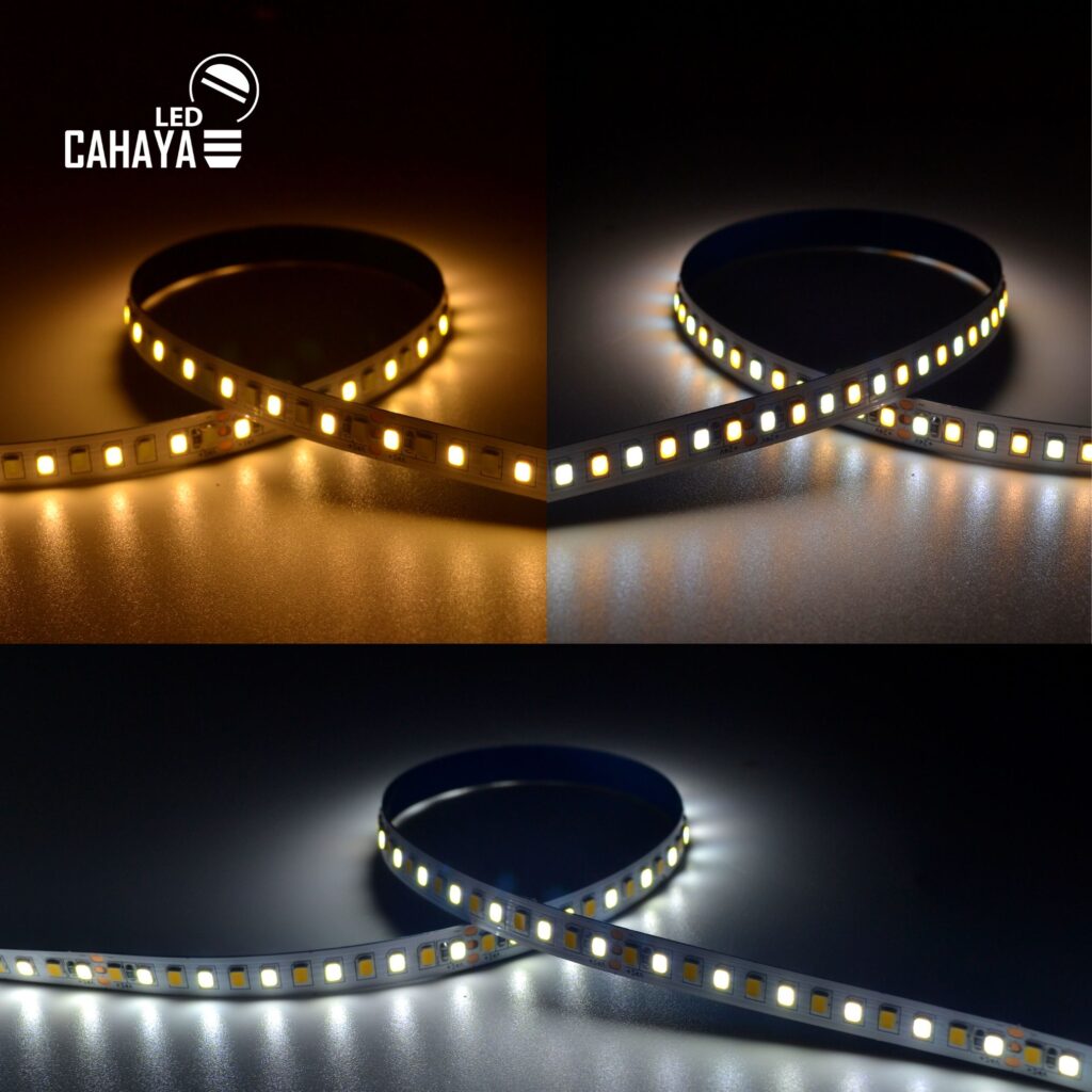 YZM2835-243C 3 Color Changing LED Strip Light – LAMPHILL